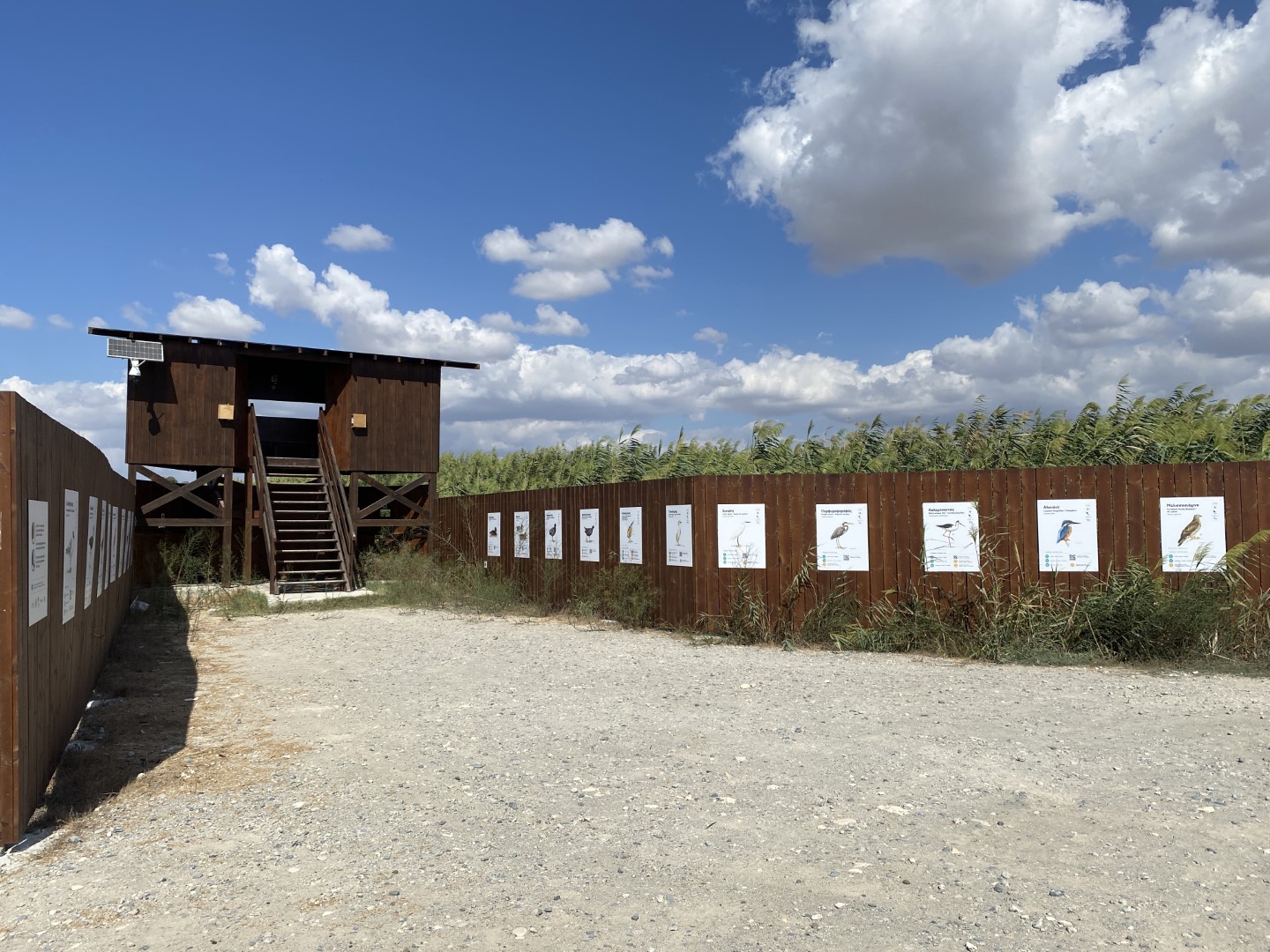 Birdwatching - Visit Akrotiri