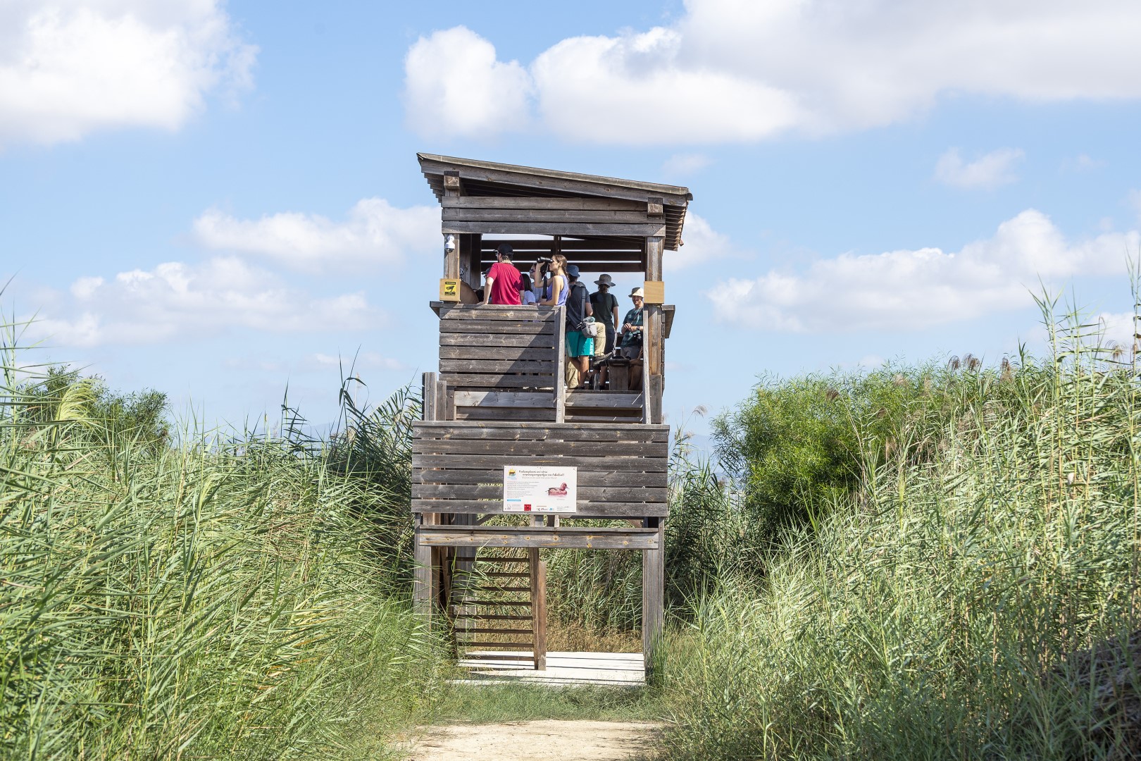 Birdwatching - Visit Akrotiri